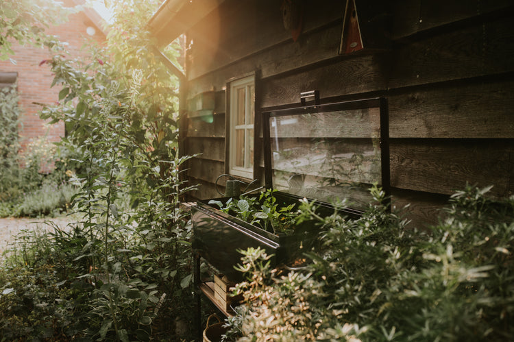 Collectie Sidekicks | Mini Kweekkas en Moestuinbak op Wielen – The ...